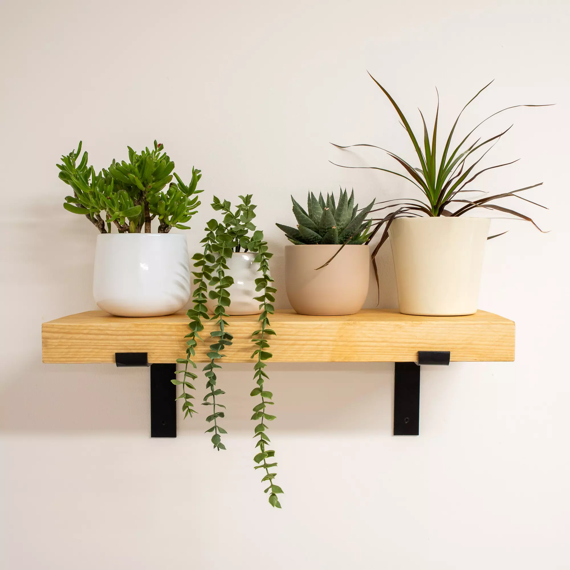 Pine wood shelves store